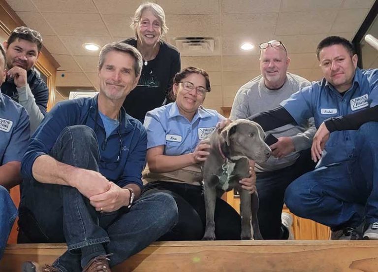 About – Ballistic Glass & Armor